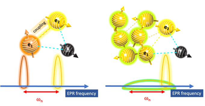 Design spin cluster for NMR signal amplification and quantum resonance ...